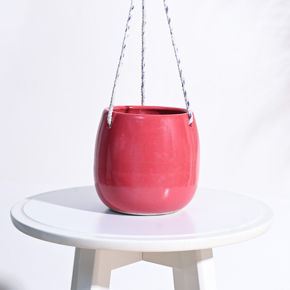 Ladybug Handmade Ceramic Hanging Planter – Ugaoo