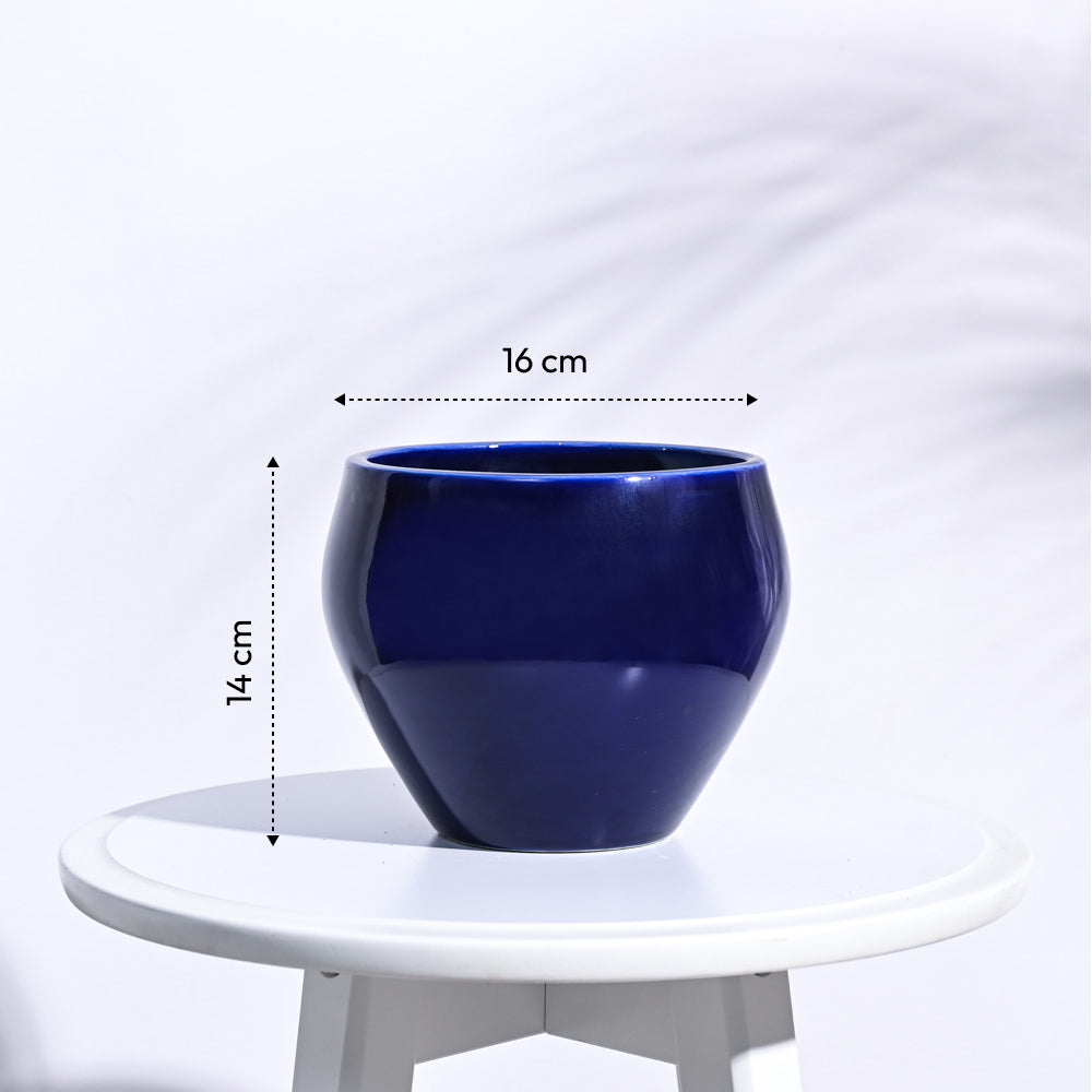 Apple Ceramic Pot (6.6 Inch Diameter) – Ugaoo