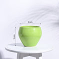 Apple Ceramic Pot (6.6 Inch Diameter) – Ugaoo