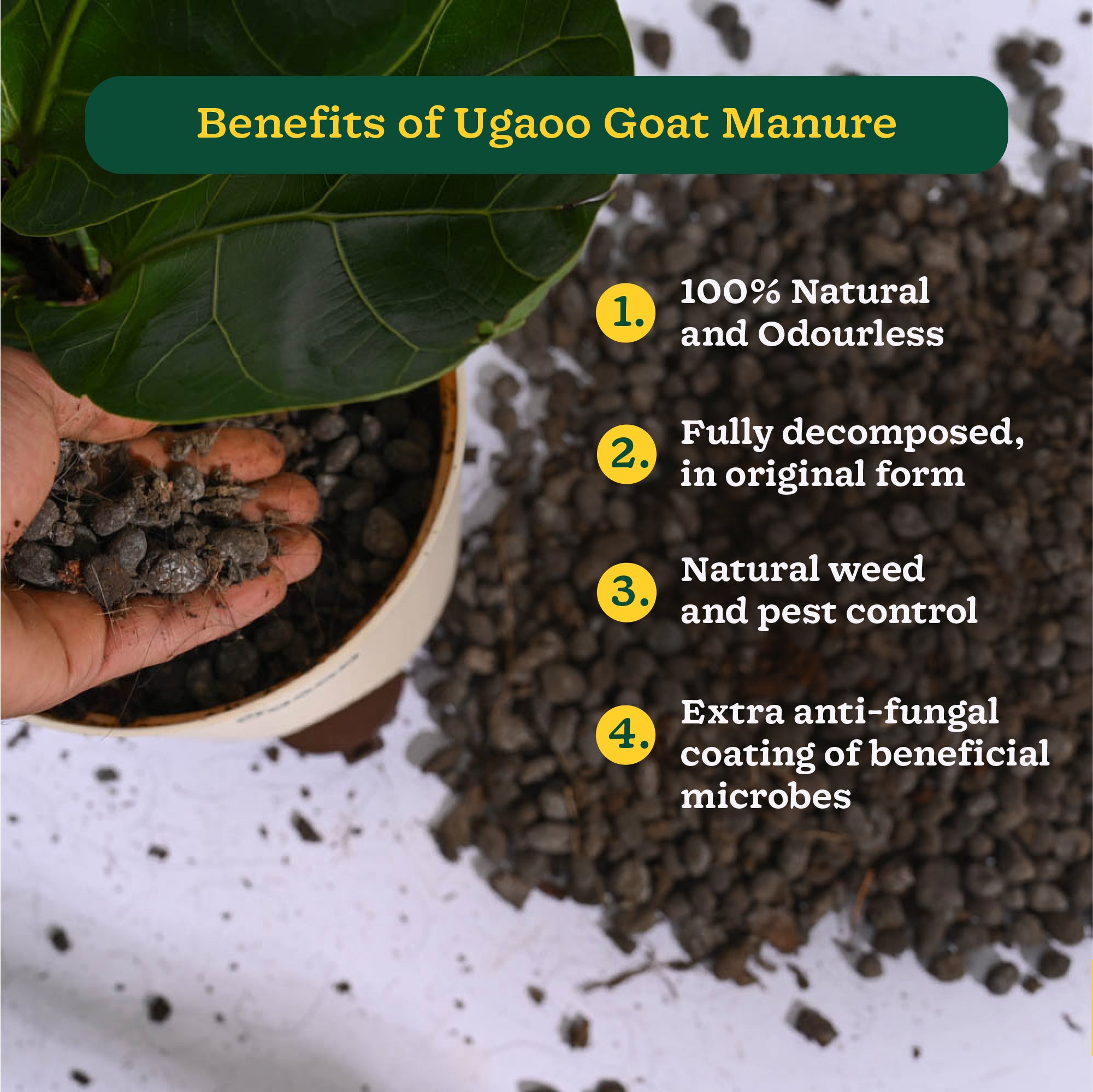 Buy Goat Manure Fertilizer & Enhance Soil Health Naturally. – Ugaoo