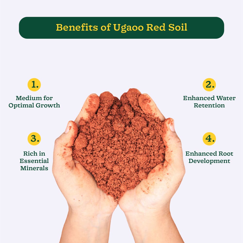 Buy Red Soil for Gardening: Essential for Healthy Plant Development – Ugaoo