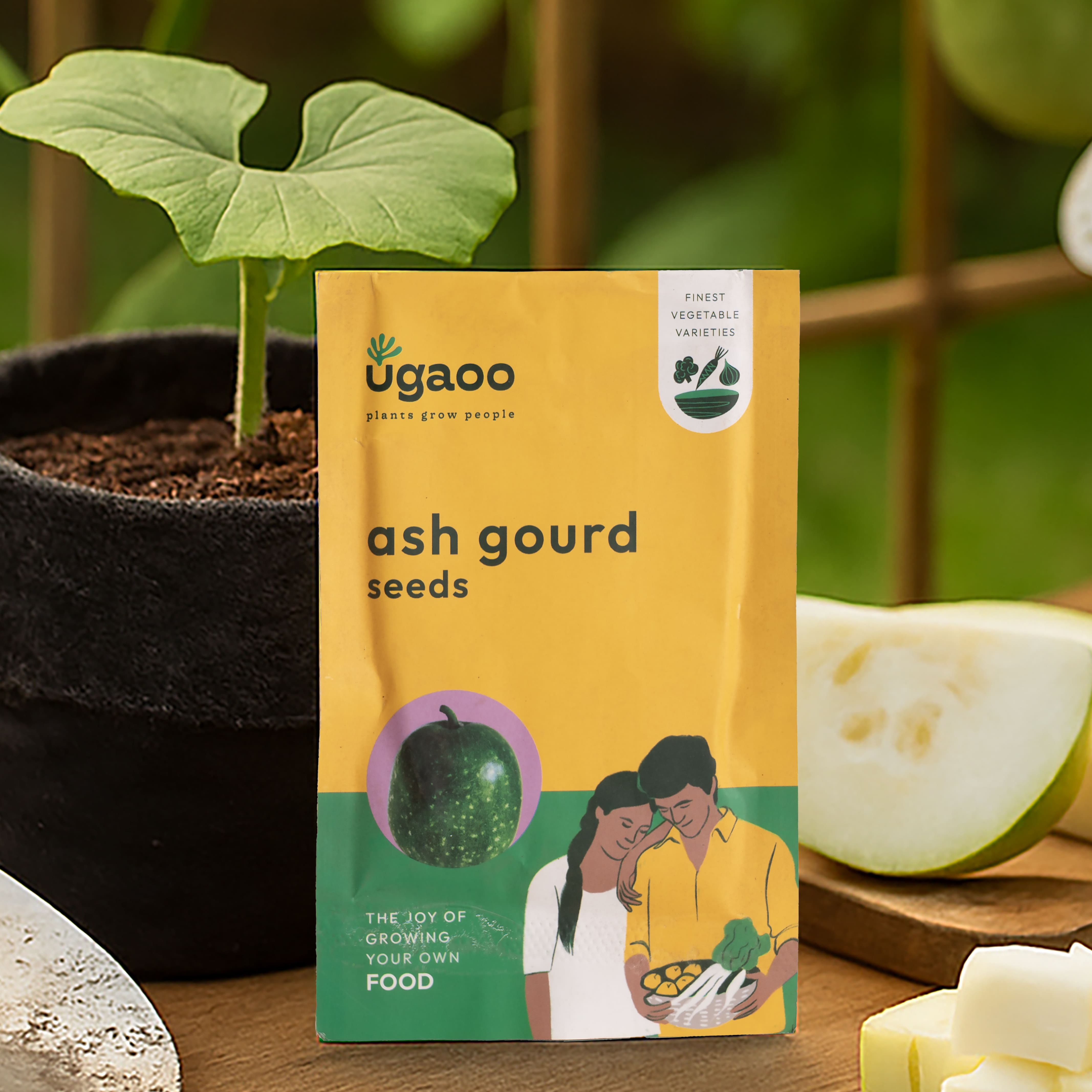 Buy Ash Gourd Seeds | Easy-to-Grow Vegetable Seeds for Indian Gardens ...