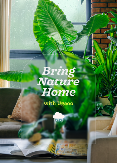 Online Garden Store, Seeds & Agricultural Products | Ugaoo.com