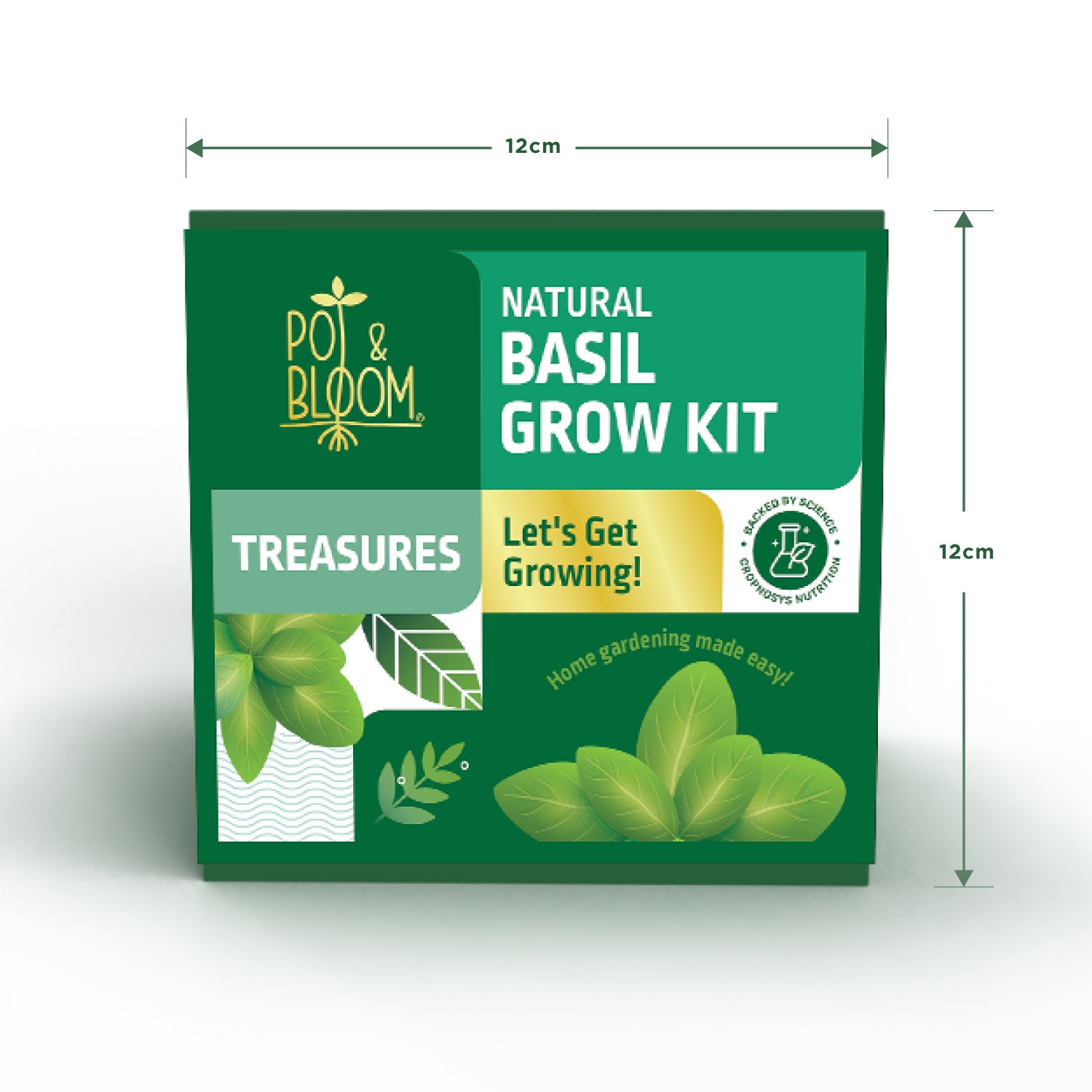 Treasures Basil Kit – Ugaoo