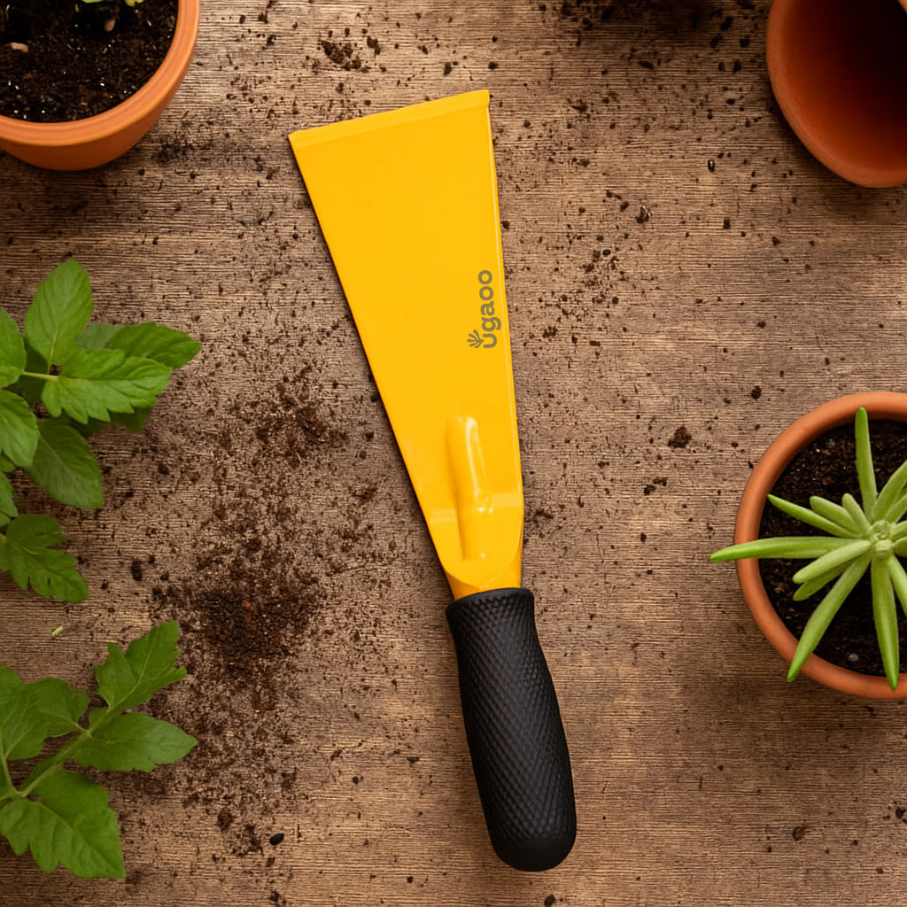 Bent Scraper – Ugaoo