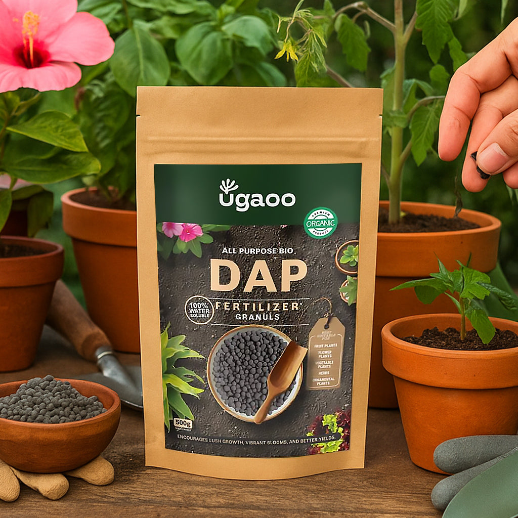Buy Bio DAP Fertilizer for Plants | Boost Growth & Root Health – Ugaoo