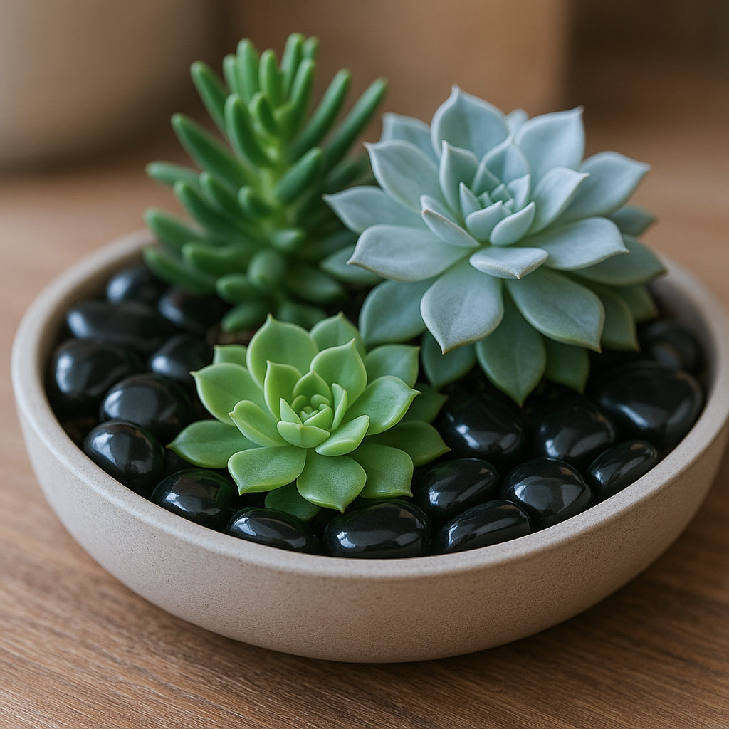 Buy Pebbles, Decorative Stones Online in India - Ugaoo Shopping