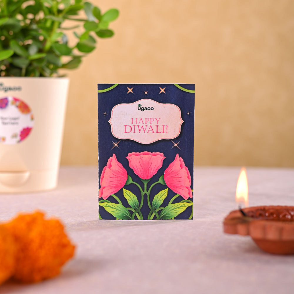 Bamboo Palm Plant Diwali Gift – Ugaoo