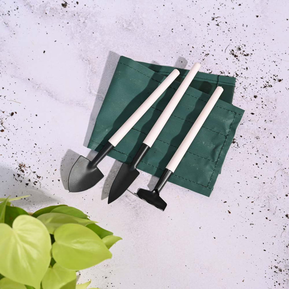 Gardening Tools for Home | Tools for Plant Care – Ugaoo