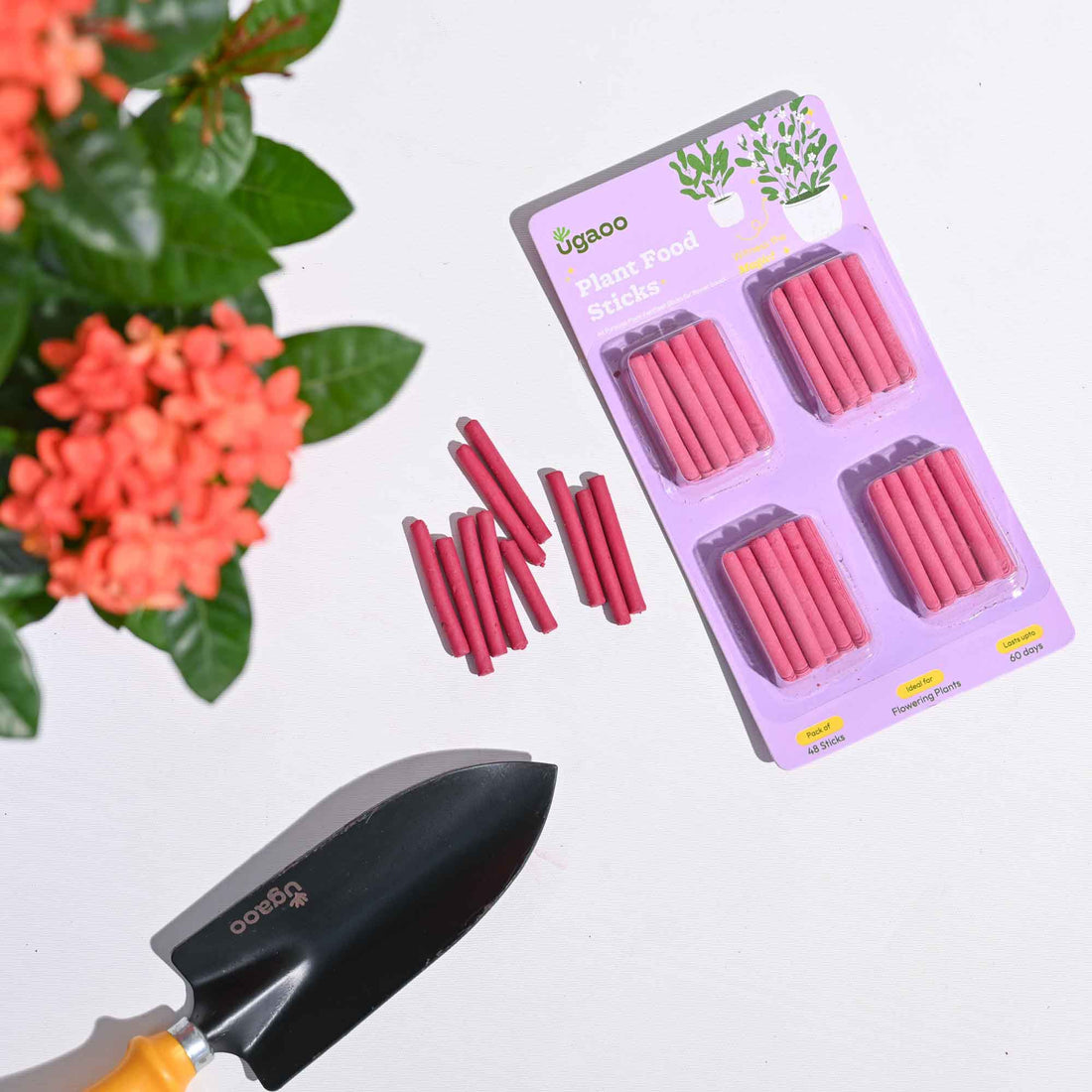 Plant Food Fertilizer Bloom Sticks