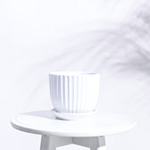 Grail Ceramic Pot – Ugaoo