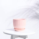 Grail Ceramic Pot – Ugaoo