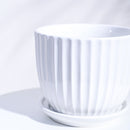 Grail Ceramic Pot – Ugaoo