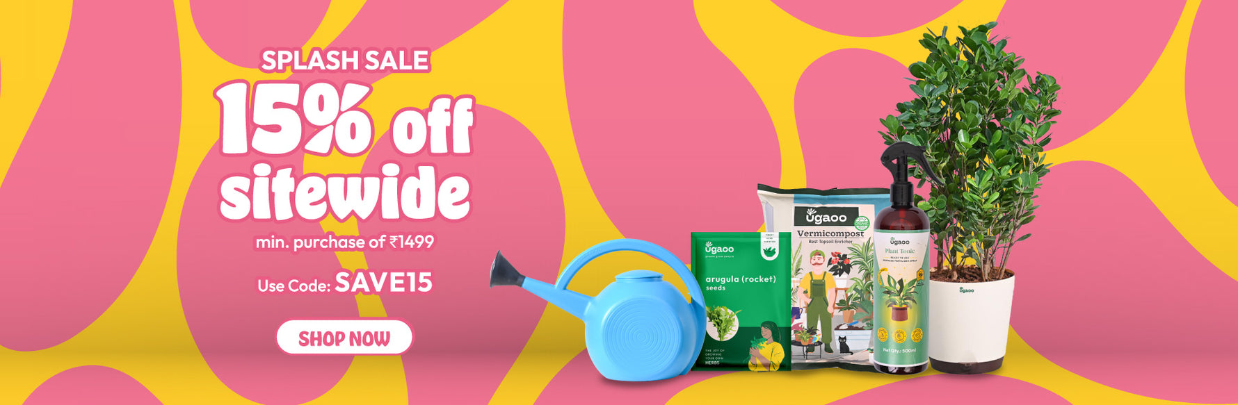 Sanjeevani Plant: A Comprehensive Guide to Care, Uses, and Medicinal ...