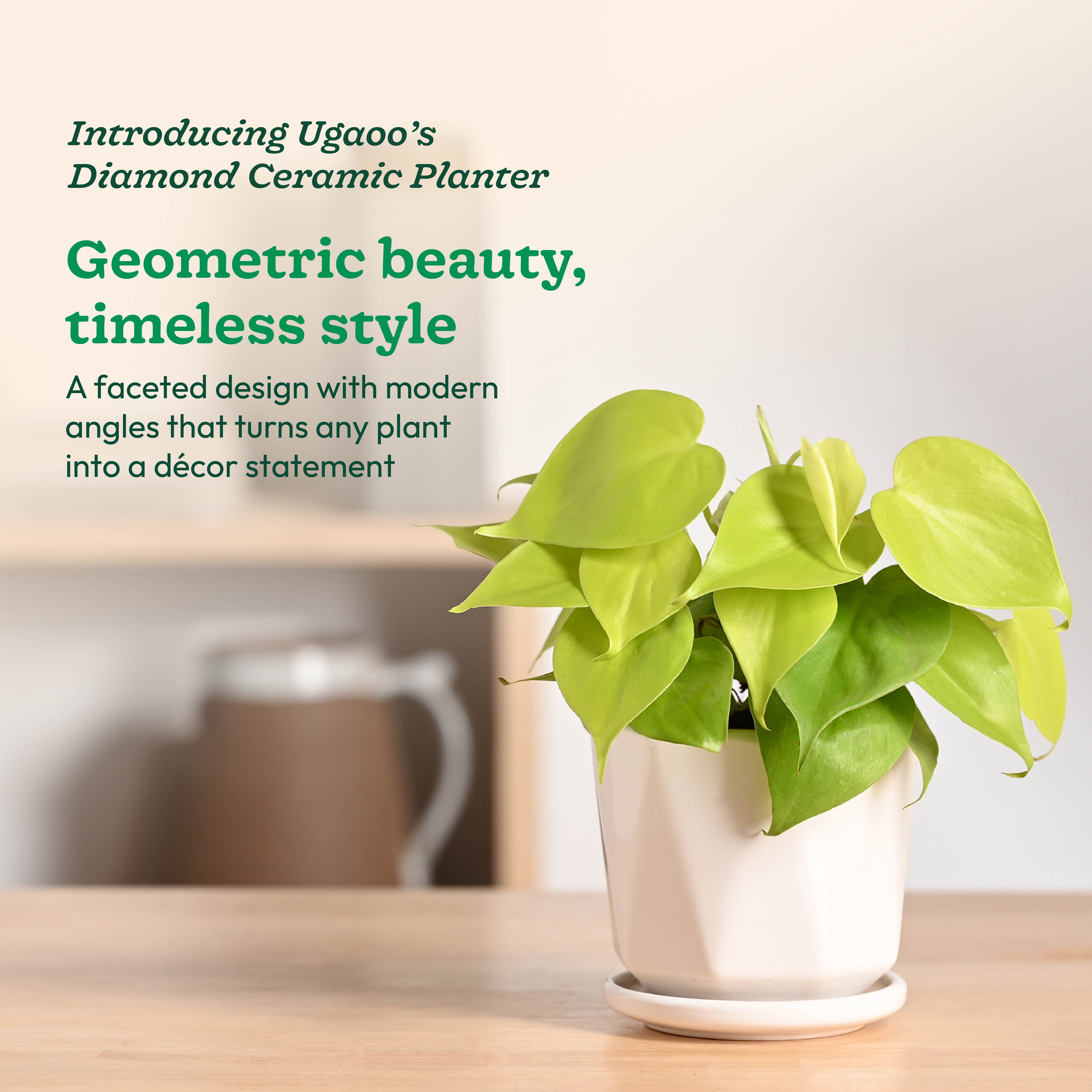 Diamond Ceramic Pot – Ugaoo