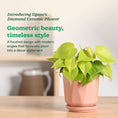 Diamond Ceramic Pot – Ugaoo