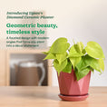 Diamond Ceramic Pot – Ugaoo