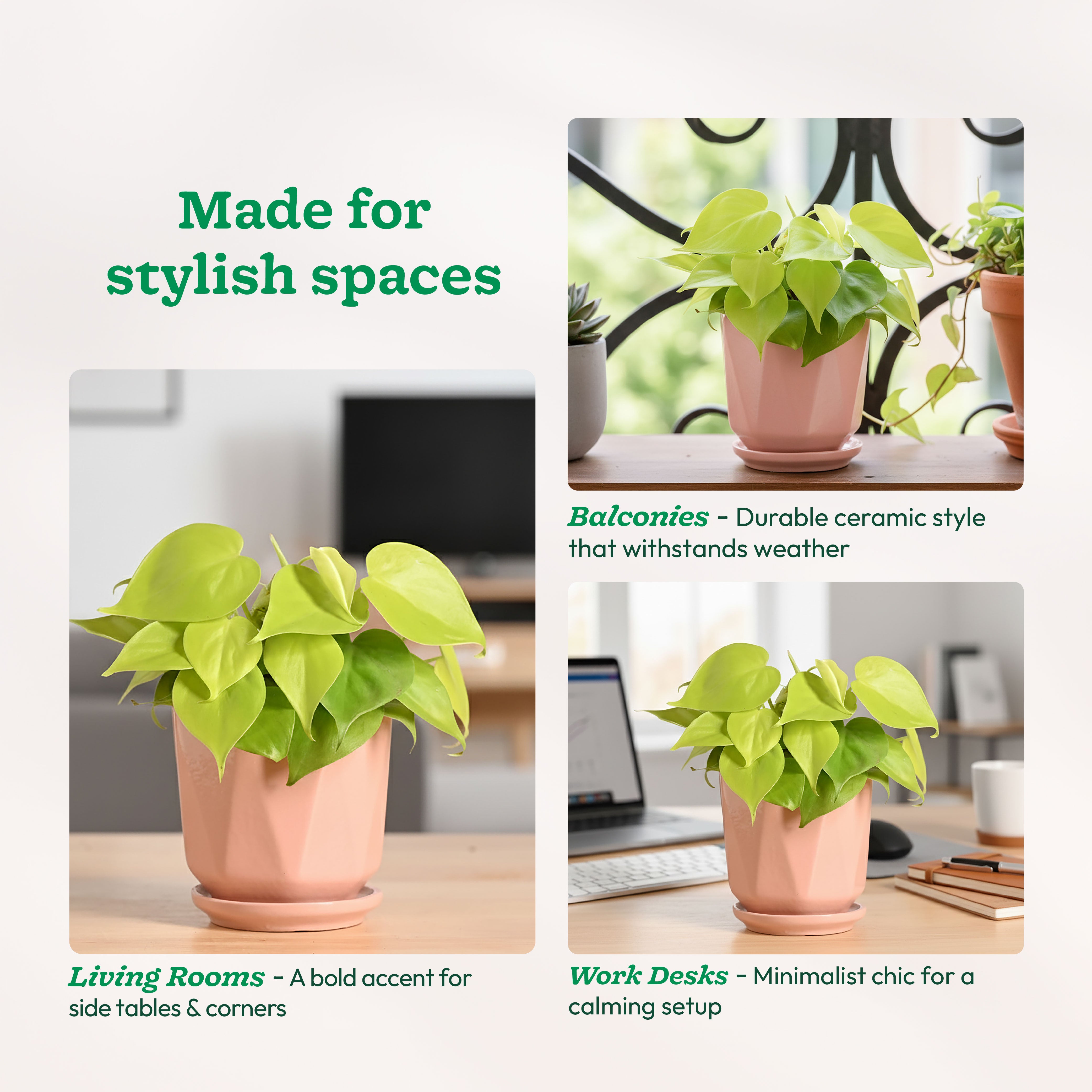 Diamond Ceramic Pot – Ugaoo