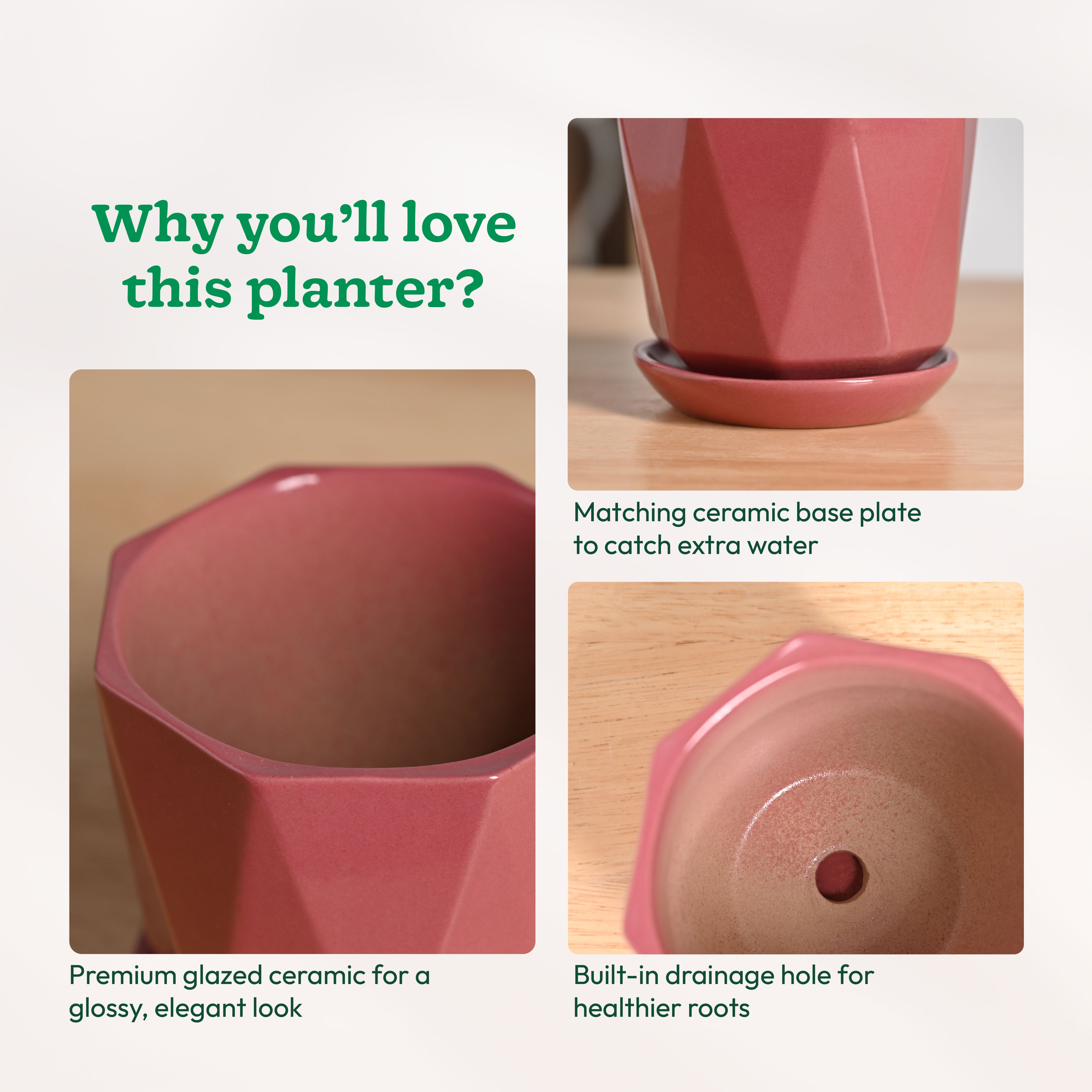 Diamond Ceramic Pot – Ugaoo