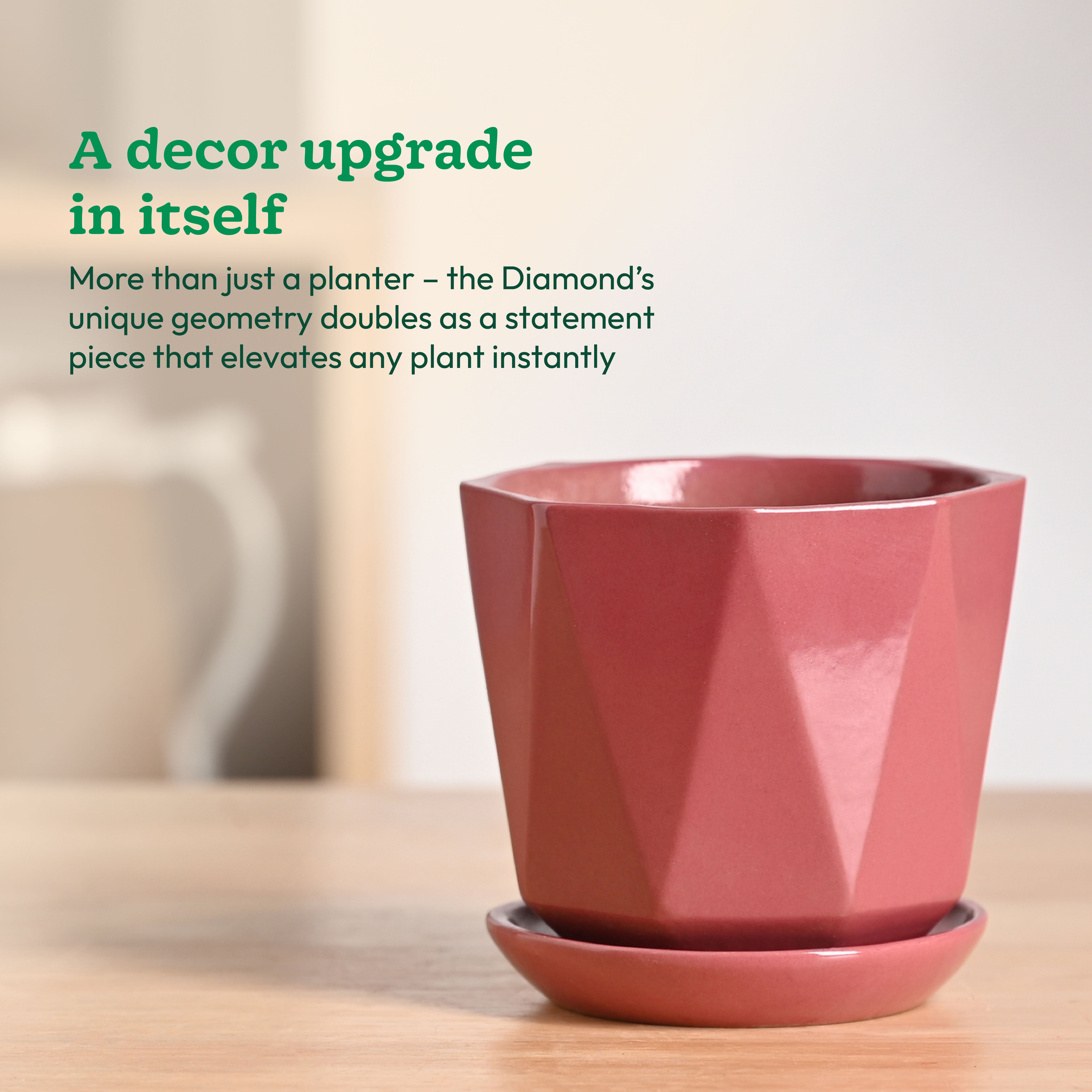 Diamond Ceramic Pot – Ugaoo