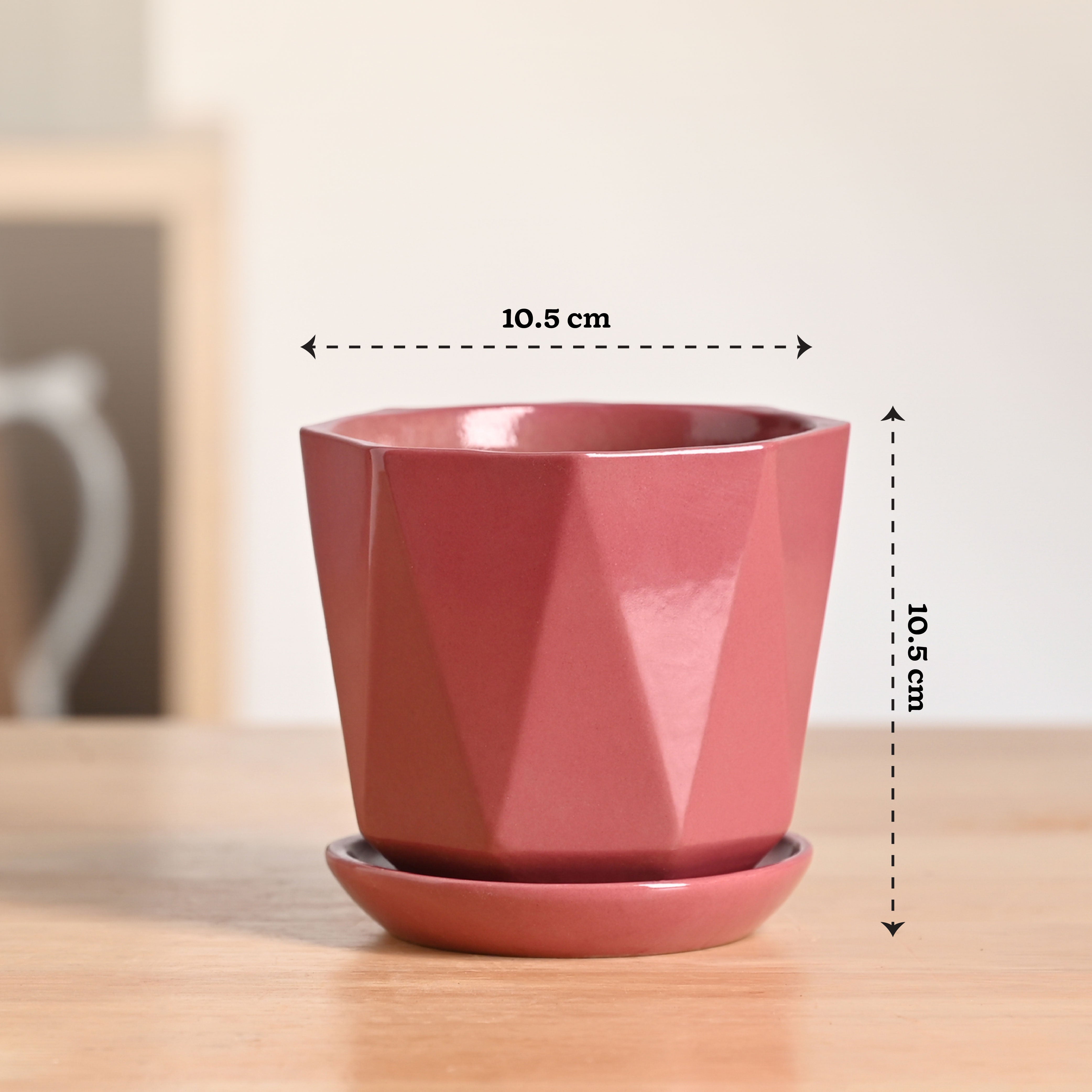 Diamond Ceramic Pot – Ugaoo