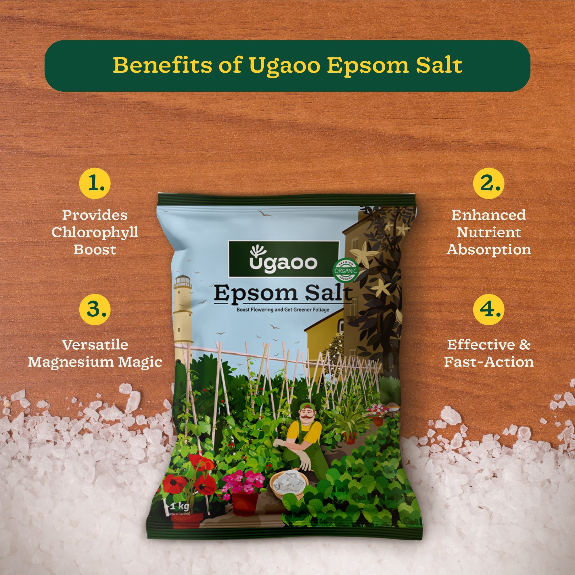 Epsom Salt for Plants Online: Natural Plant Care Solution – Ugaoo