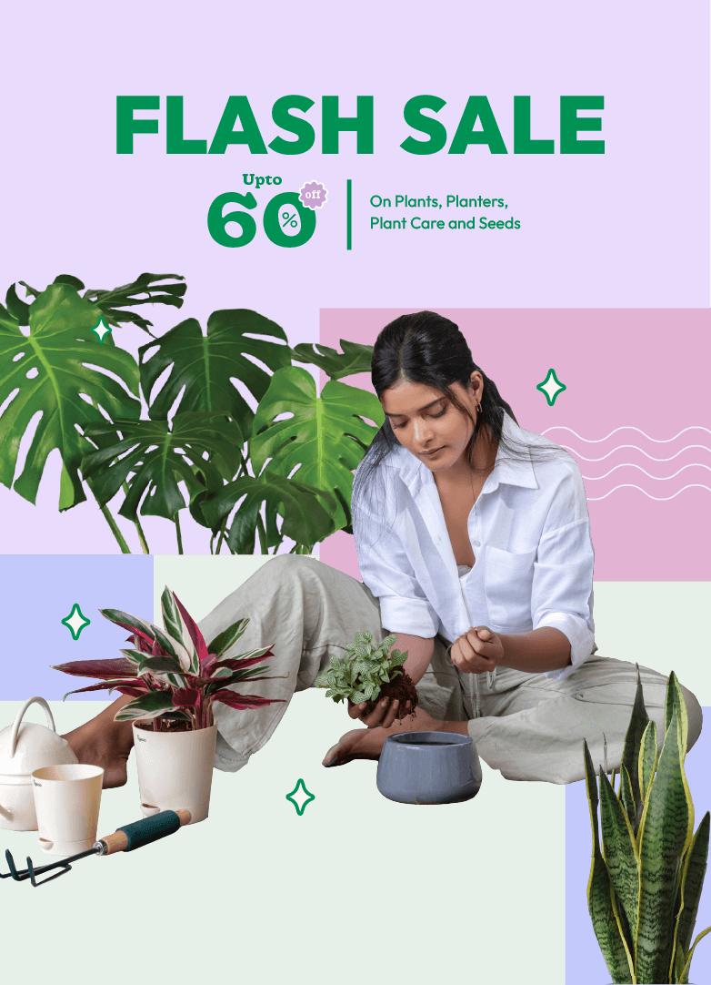 Are you eating these common but poisonous foods?