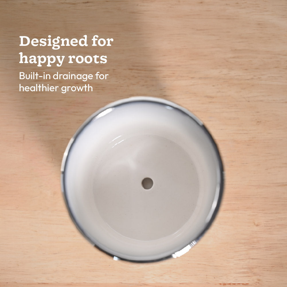 Fluted Silver-Gold Ceramic Plant Pot with Saucer | Ugaoo