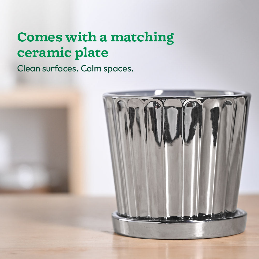 Fluted Silver-Gold Ceramic Plant Pot with Saucer | Ugaoo