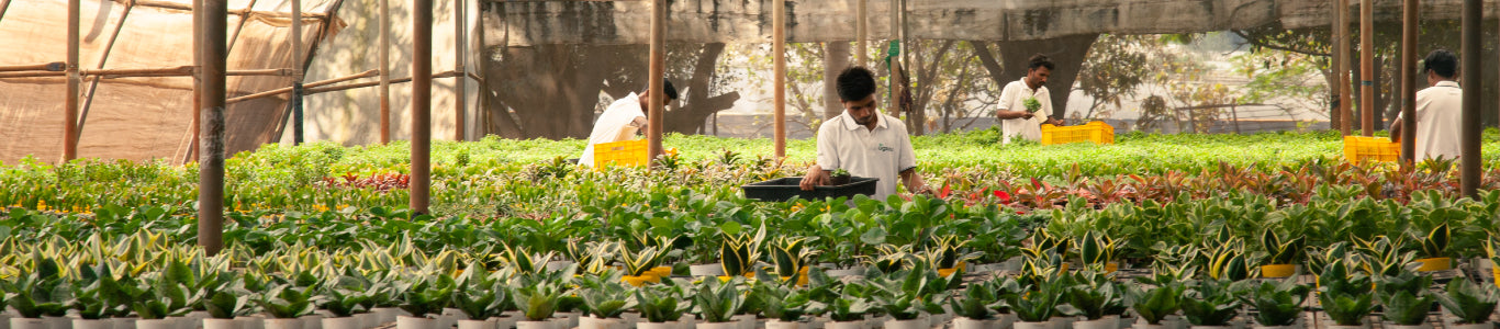 Farm Visit Registration
