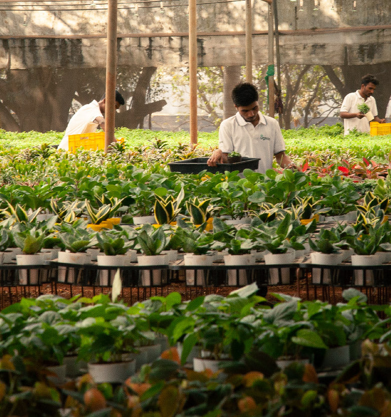 Farm Visit Registration