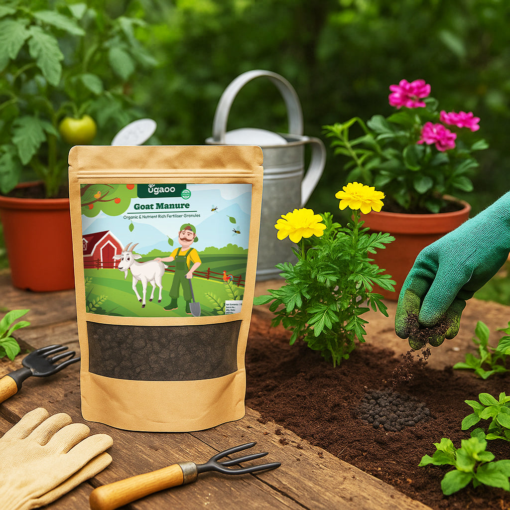 Buy Goat Manure Fertilizer & Enhance Soil Health Naturally. – Ugaoo