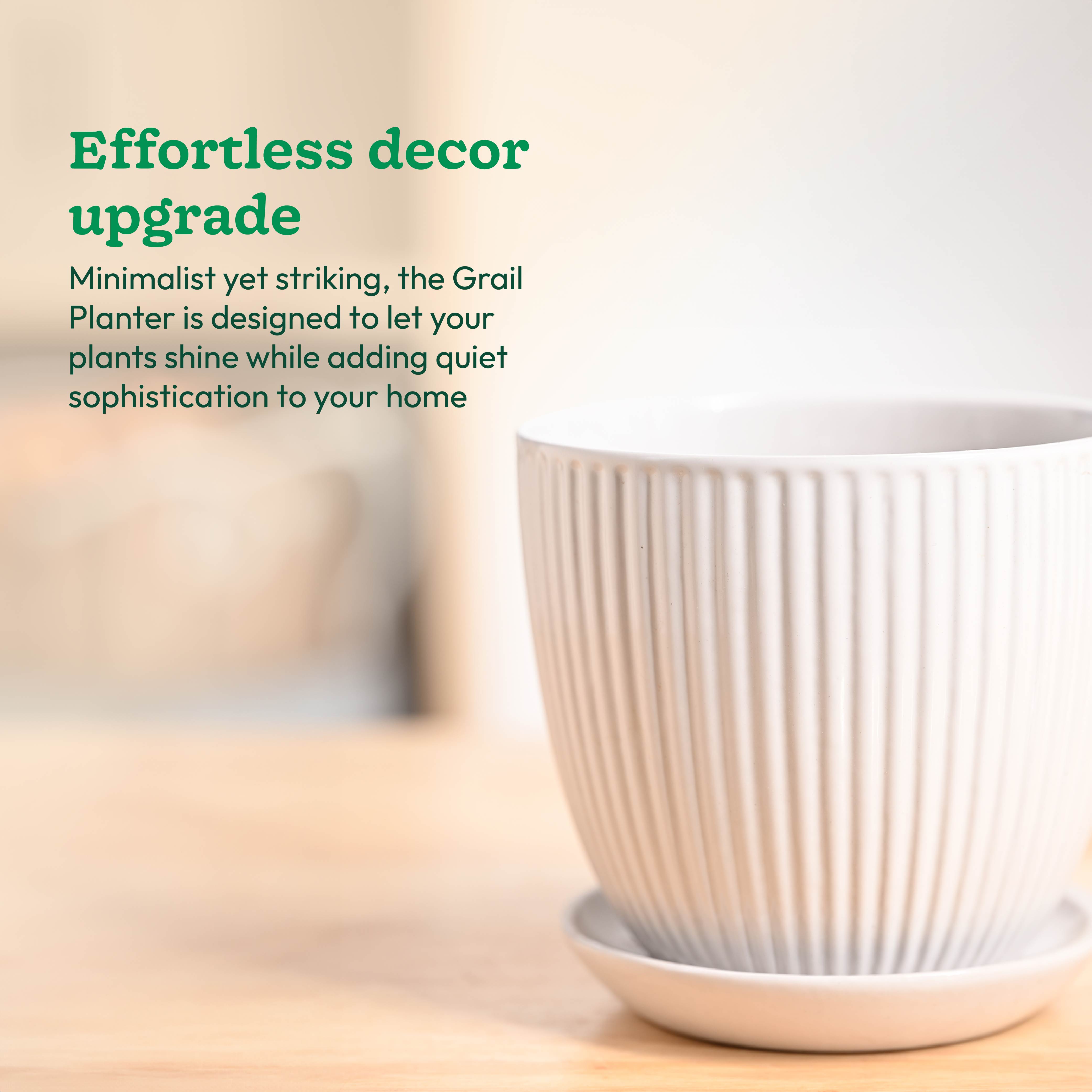 Grail Ceramic Pot – Ugaoo