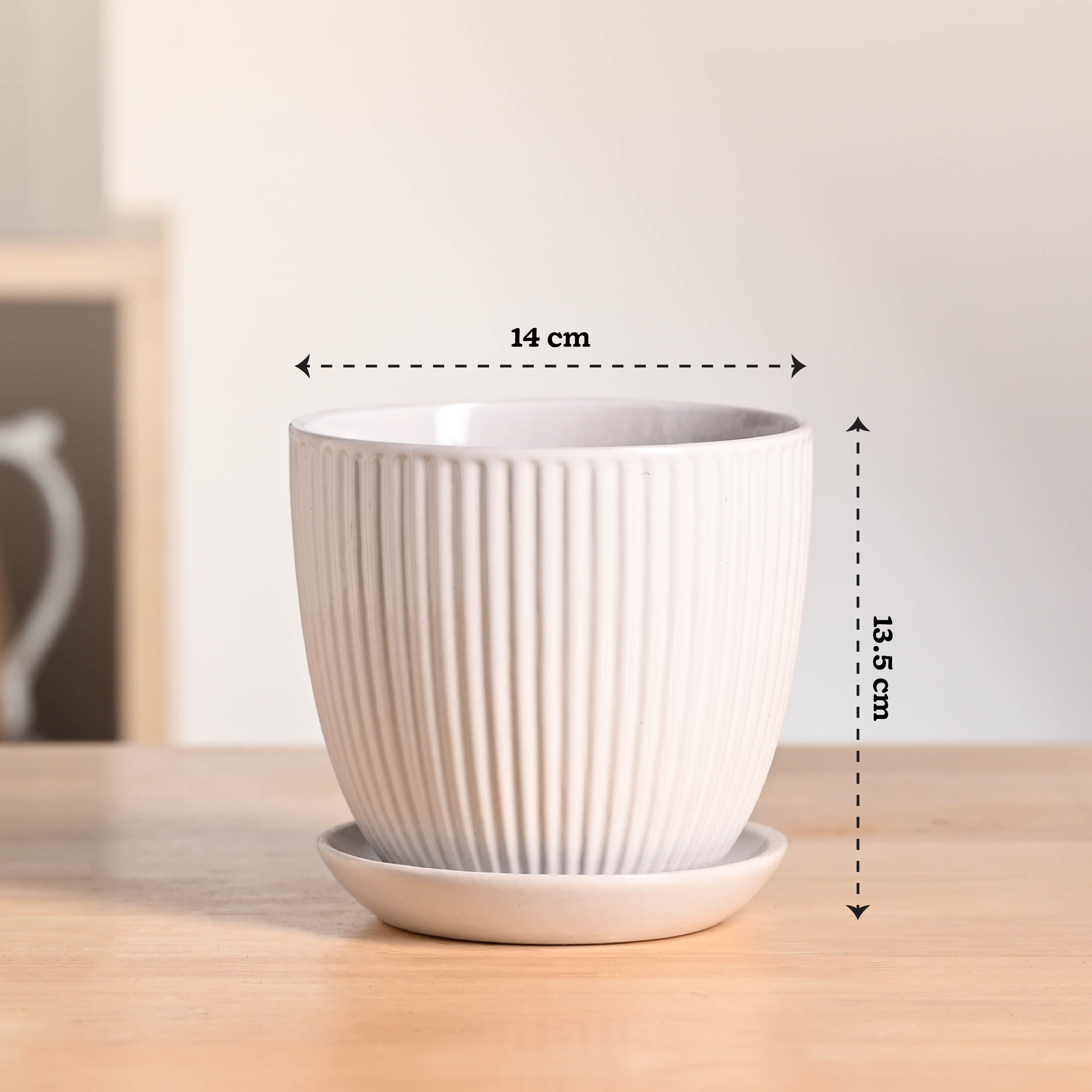 Grail Ceramic Pot – Ugaoo