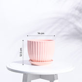 Grail Ceramic Pot – Ugaoo