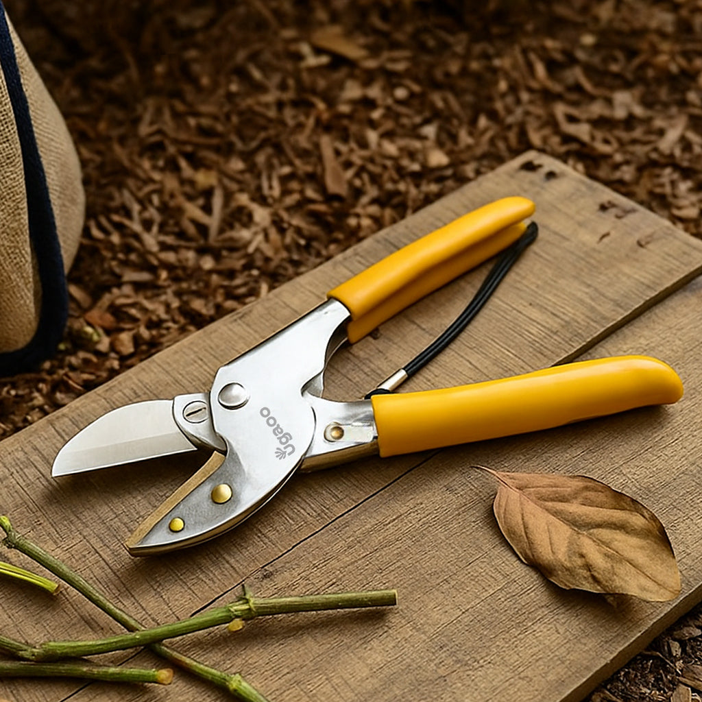 Heavy Duty Anvil Pruner – Ugaoo