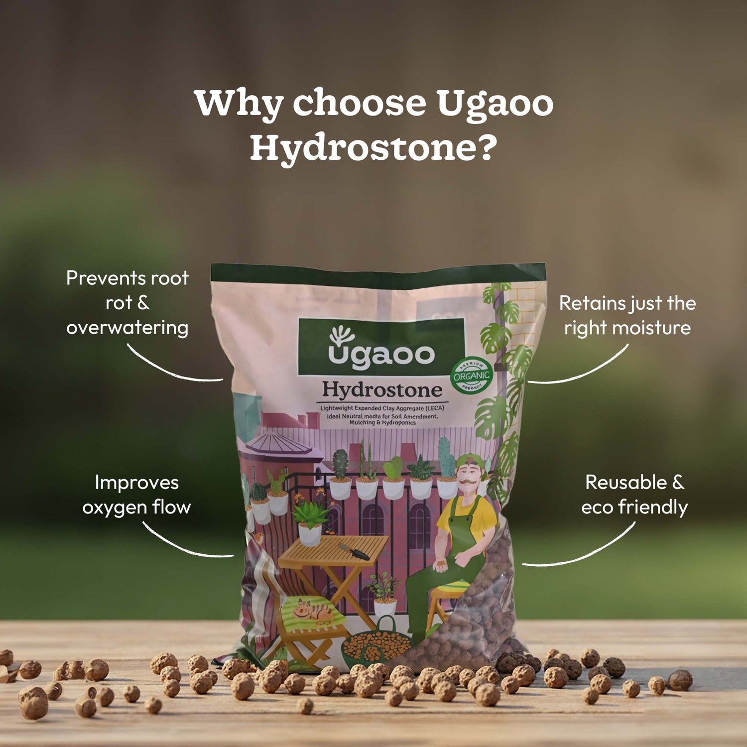 Buy Hydrostone Leca Balls for Plants | Hydroponic Plant Growth ...