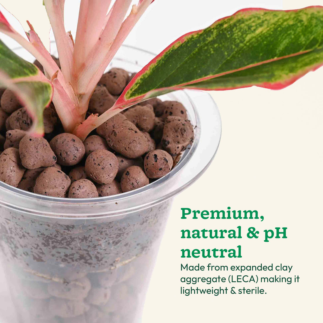 Buy Hydrostone Leca Balls for Plants | Hydroponic Plant Growth ...