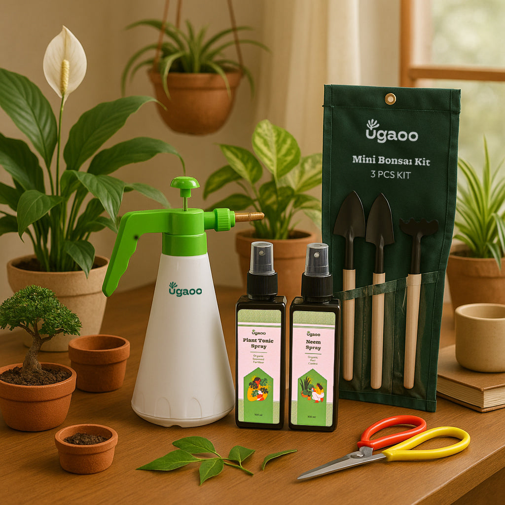 Indoor Gardening Kit – Ugaoo