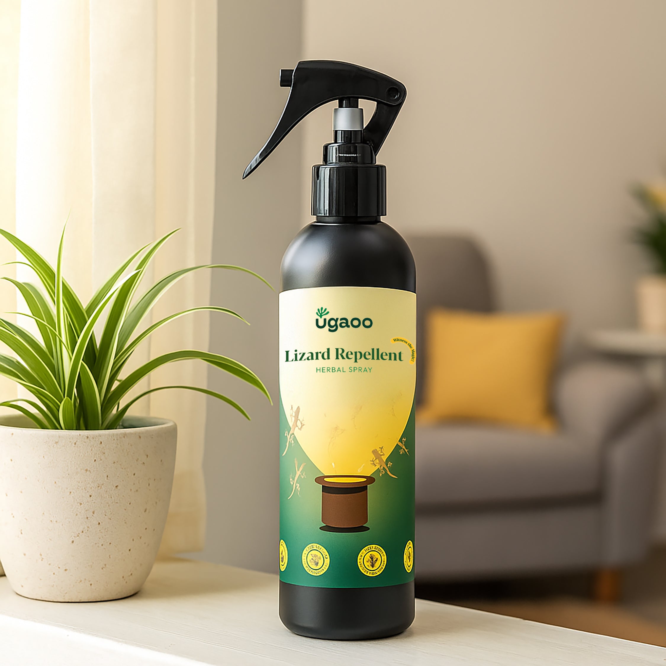Buy Natural Lizard Repellent Spray: Safe Solution for Pest Control – Ugaoo
