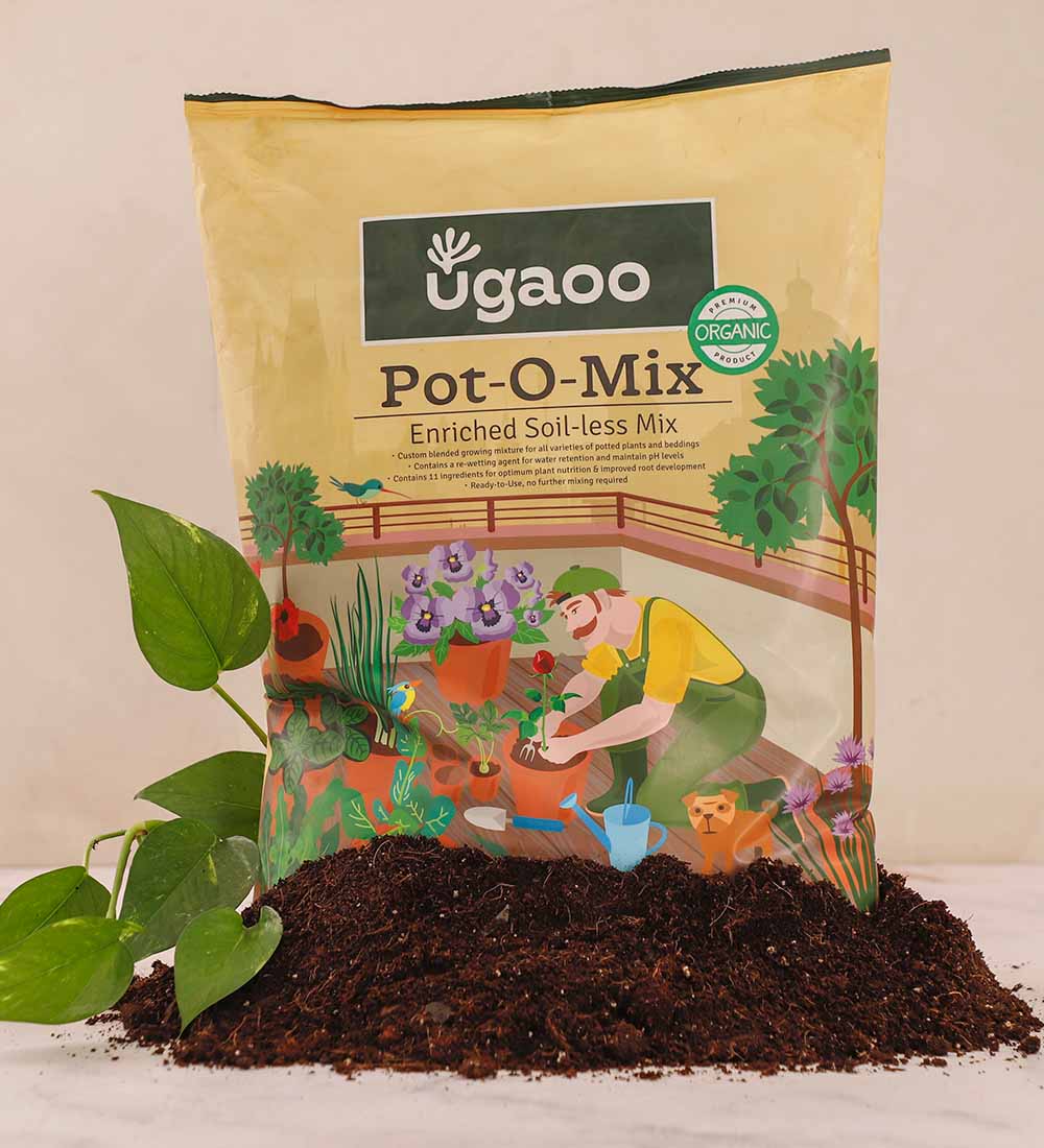 Buy Potting Mix |5 Kg Pot-O-Mix| Nutrient-Rich Soil for Healthy Plants ...
