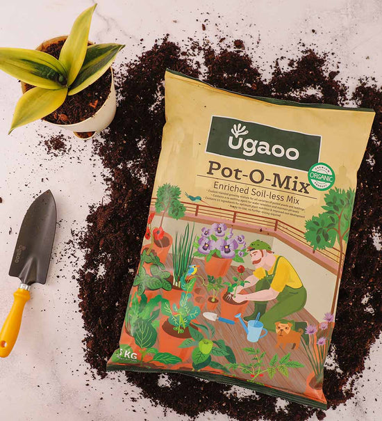 Buy Potting Mix |5 Kg Pot-O-Mix| Nutrient-Rich Soil for Healthy Plants