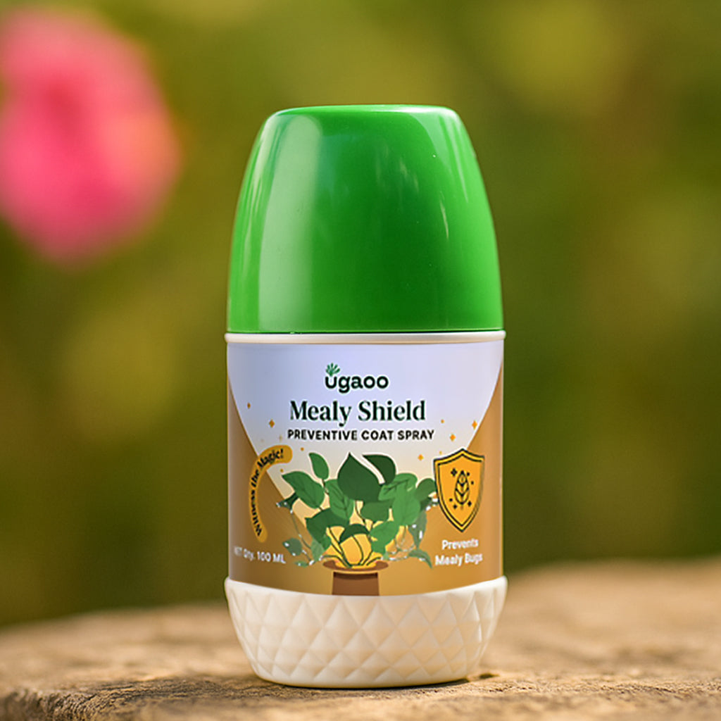 Mealy Shield - 100 ml – Ugaoo