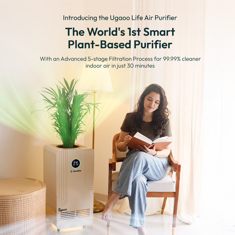 Buy Ugaoo's smart plant-based Air Purifier | Sustainable & Effective