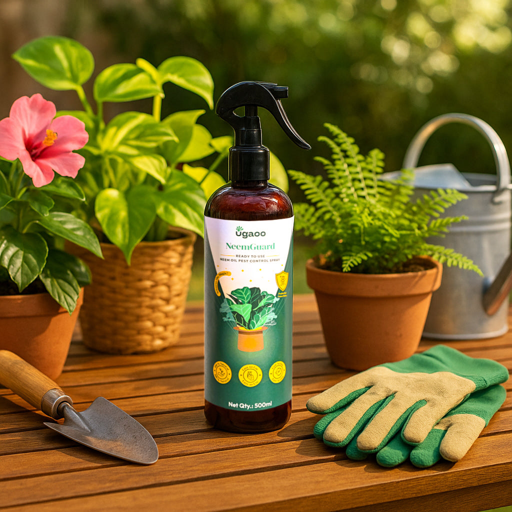 Buy Neem Oil Spray: Natural Solution for Healthy Plant Care – Ugaoo