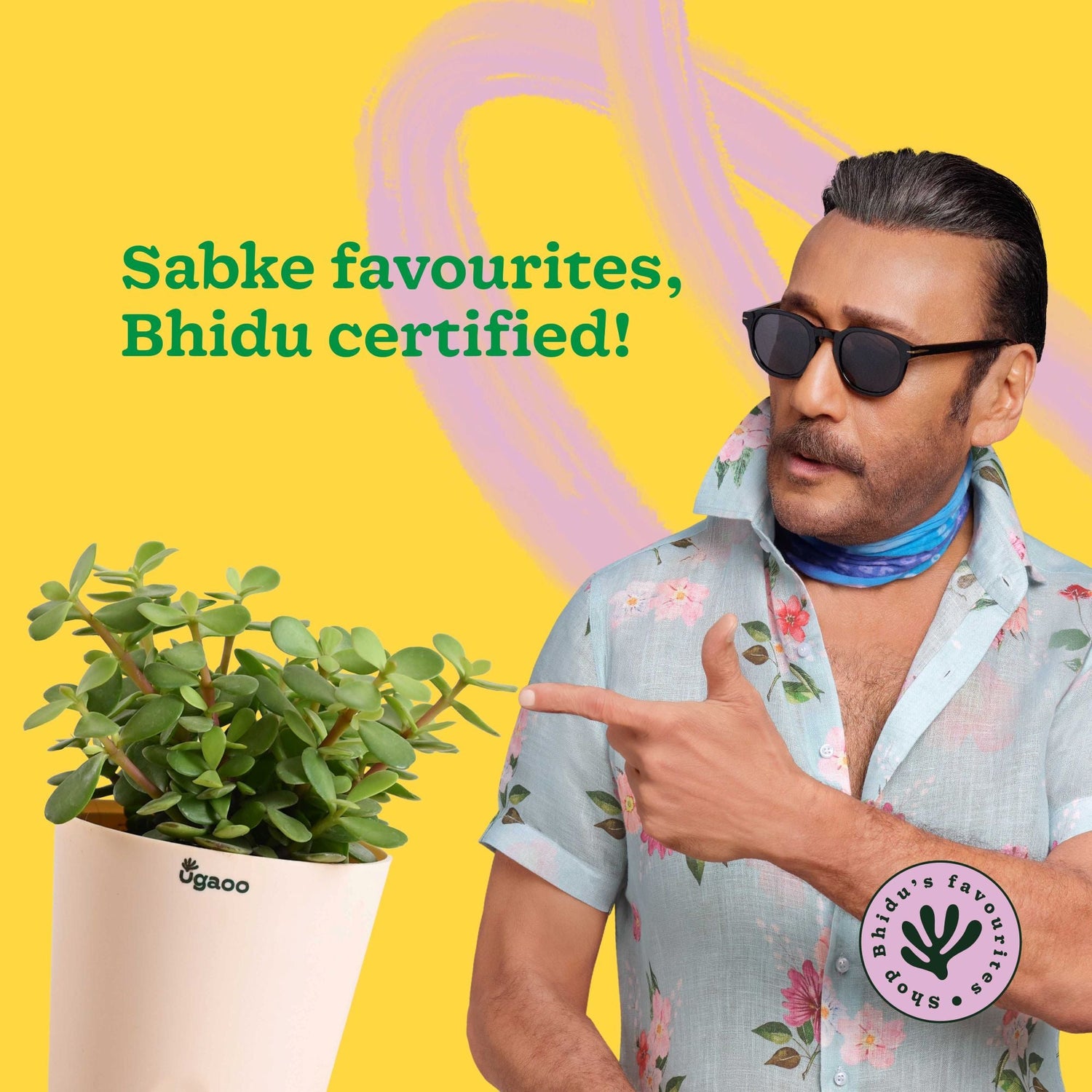 Buy Premium Jade Mini Plant |High Quality & Safe Home Delivery – Ugaoo