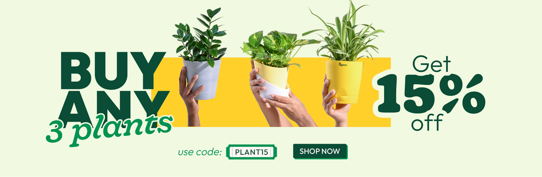 Growing Hibiscus: Goddess Kali and Lord Ganesha’s Favorite Flower – Ugaoo