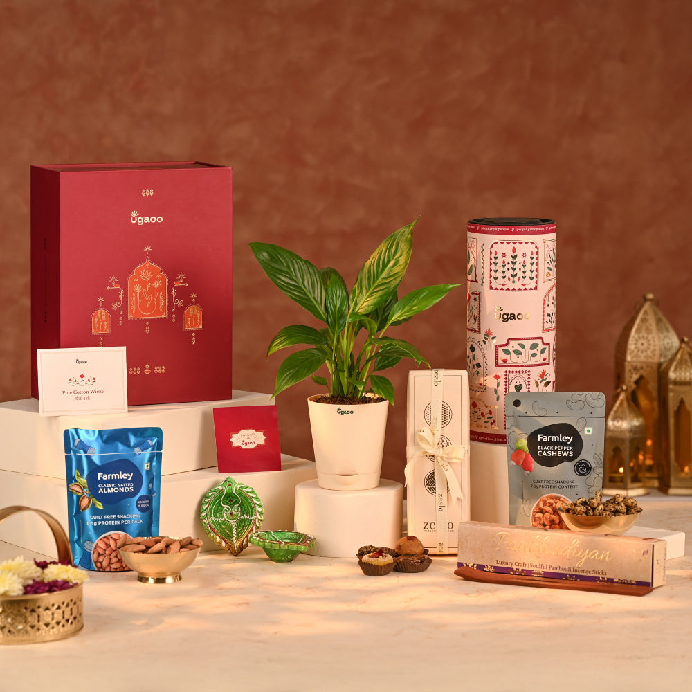"Buy Peace Lily Gift Set | Elegant Corporate Diwali Hampers – Ugaoo