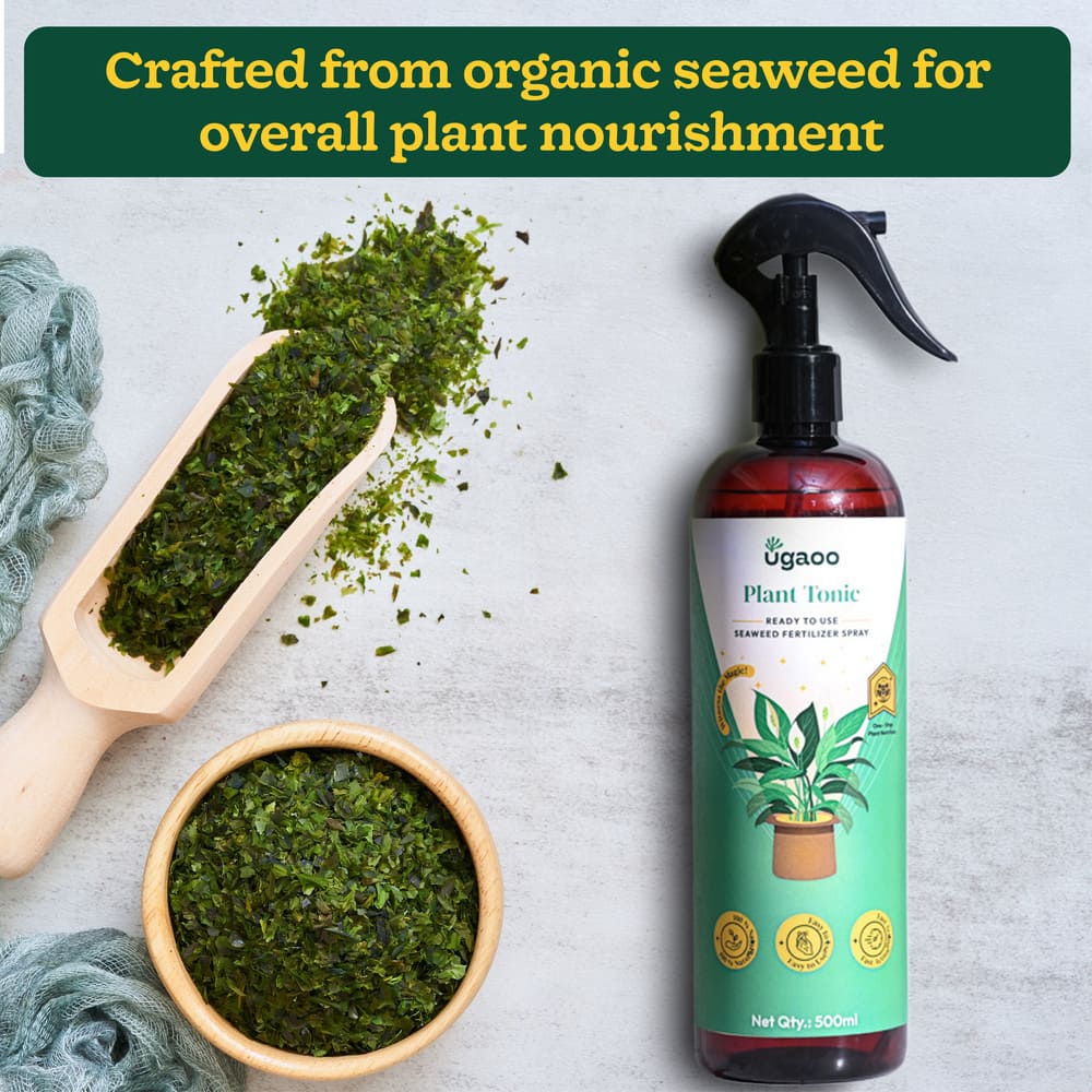Plant Tonic Ready-To-Use Spray - 500 ml – Ugaoo