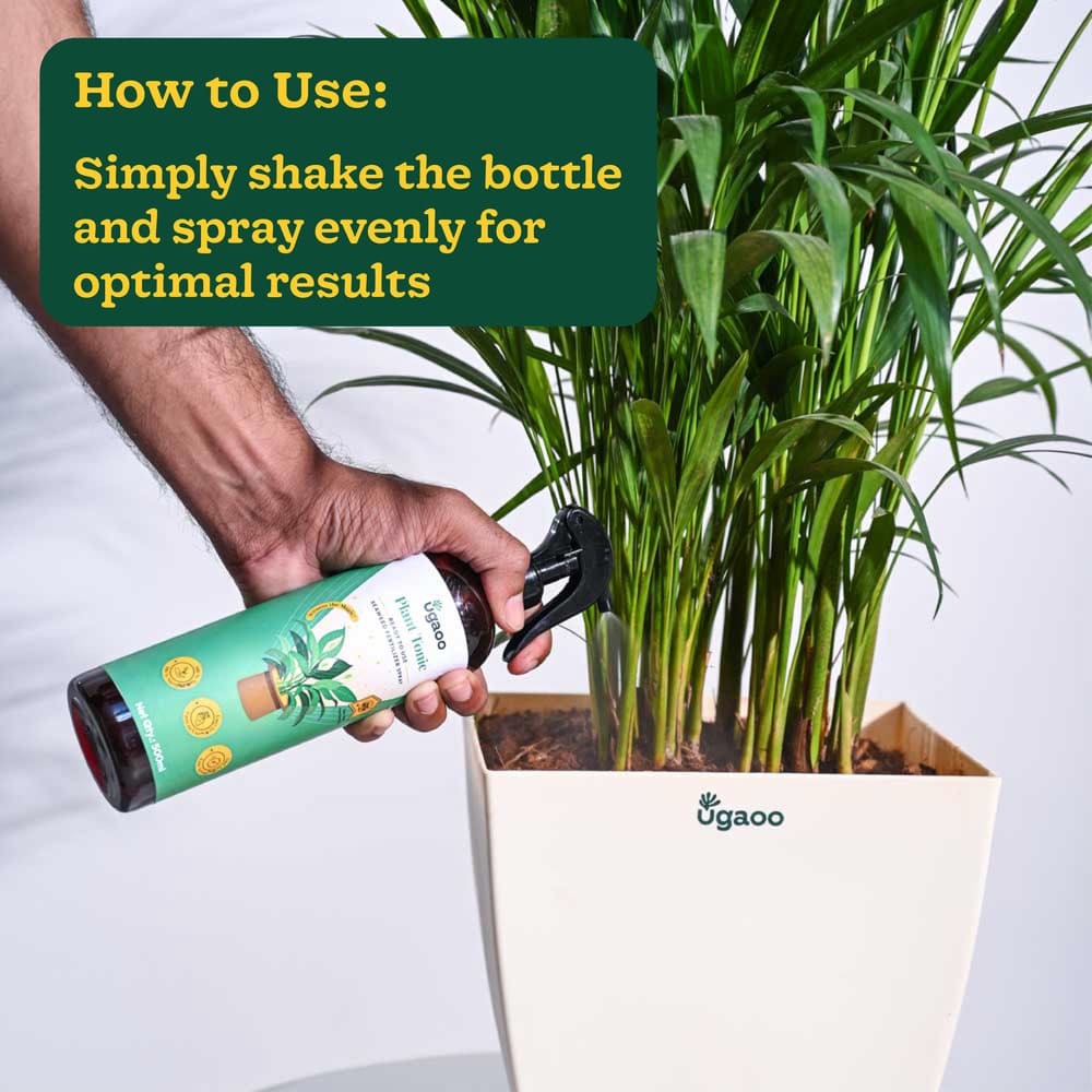 Plant Tonic Ready-To-Use Spray - 500 ml – Ugaoo